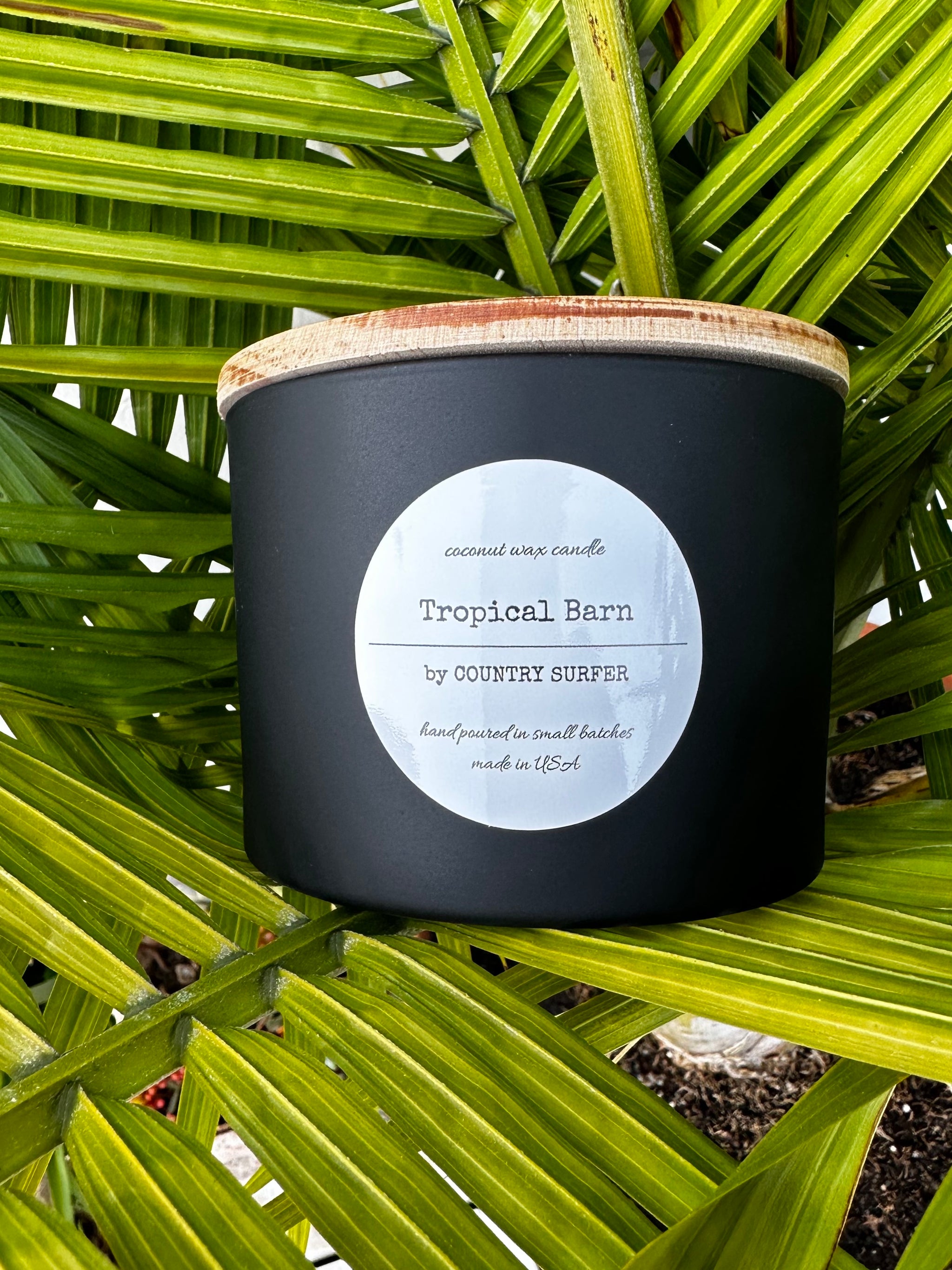 Tropical Barn – Country Surfer